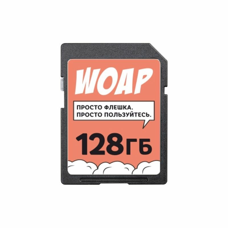 Просто флешка SD 128GB