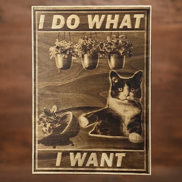 Картина I Do What I Want (я делаю то что хочу), 21*29.7 см (А4)