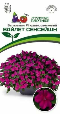 Семена Бальзамина Уоллера крупноцветкового "Вайлет Сенсейшн" f1 (5 семян)