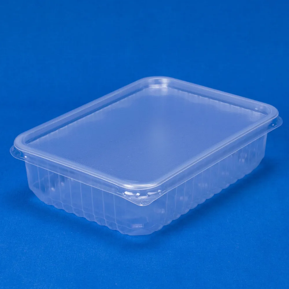 Набор контейнеров Фопос, плоские, с крышкой, 750 мл, 5 шт