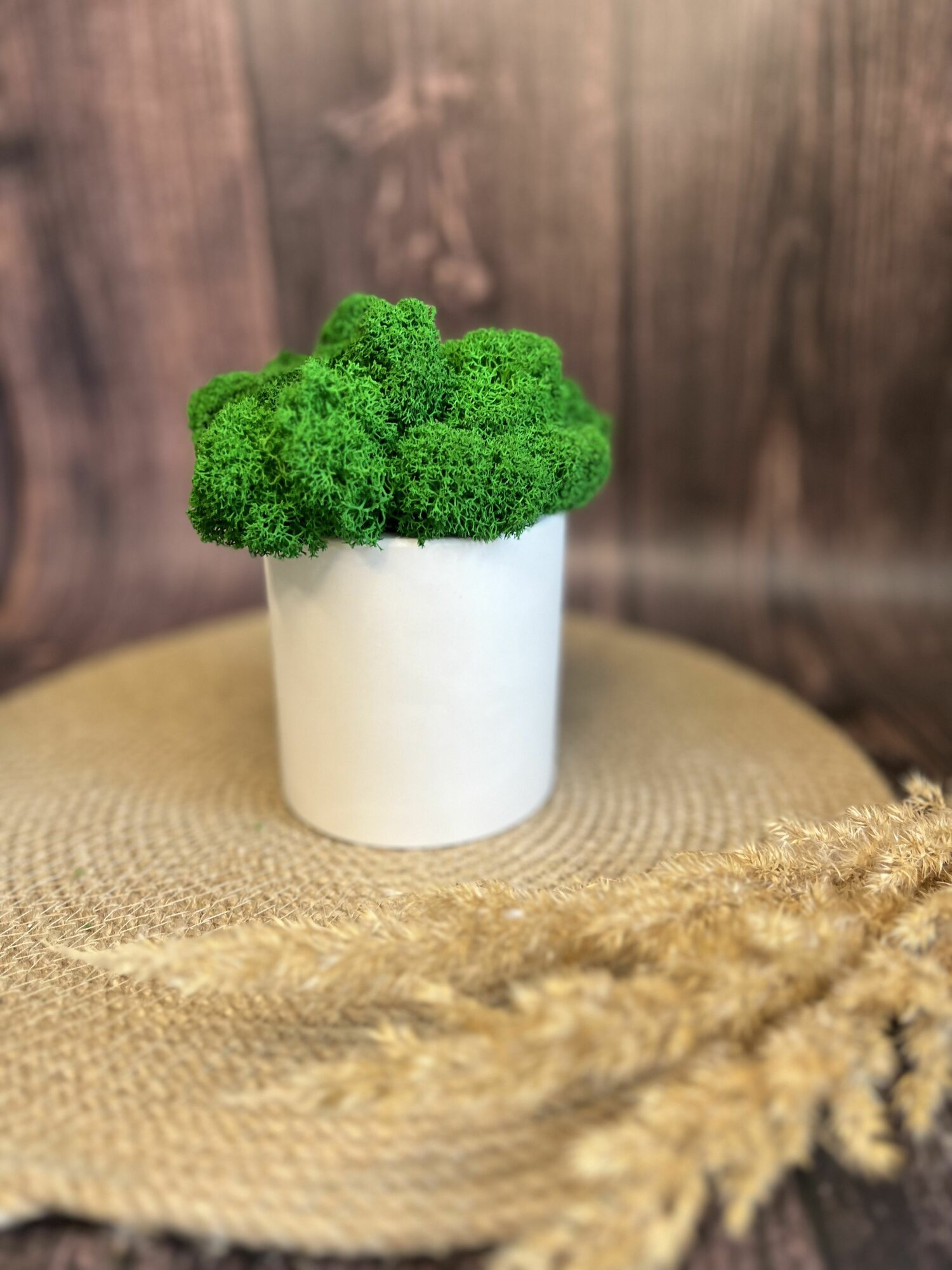 Кашпо MAXI со стабилизированным мхом/ гипсовый декор/ для дома и интерьера/ белое матовое 13 см