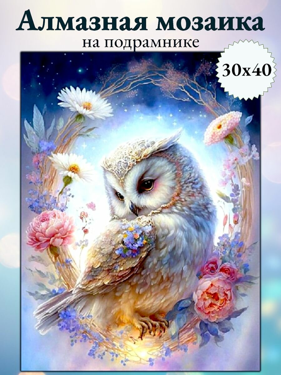Алмазная мозаика, алмазная живопись на подрамнике 30х40 Картина стразами "Сова в венке"