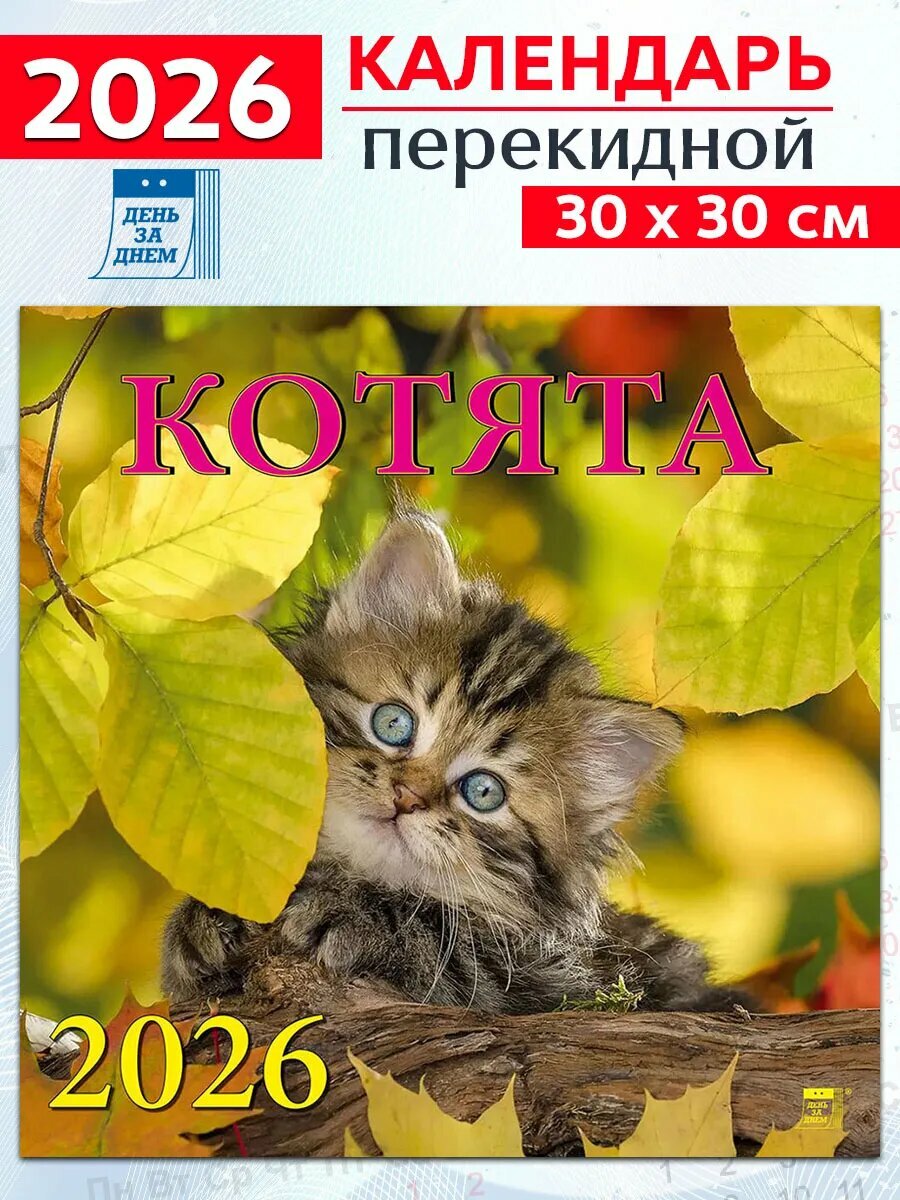 День за днем Календарь на 2026 год: "Котята" 300х300 мм
