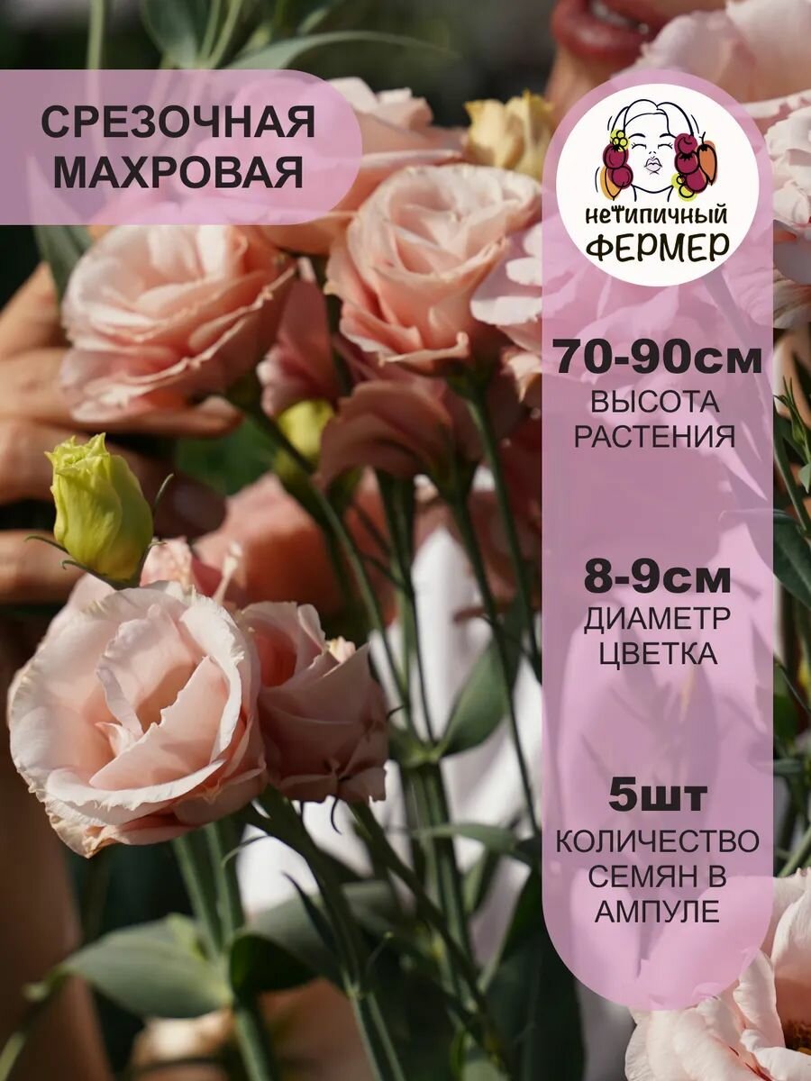 Семена эустомы Нетипичный фермер "Мадам Шанталь", махровые, срезочные, однолетние