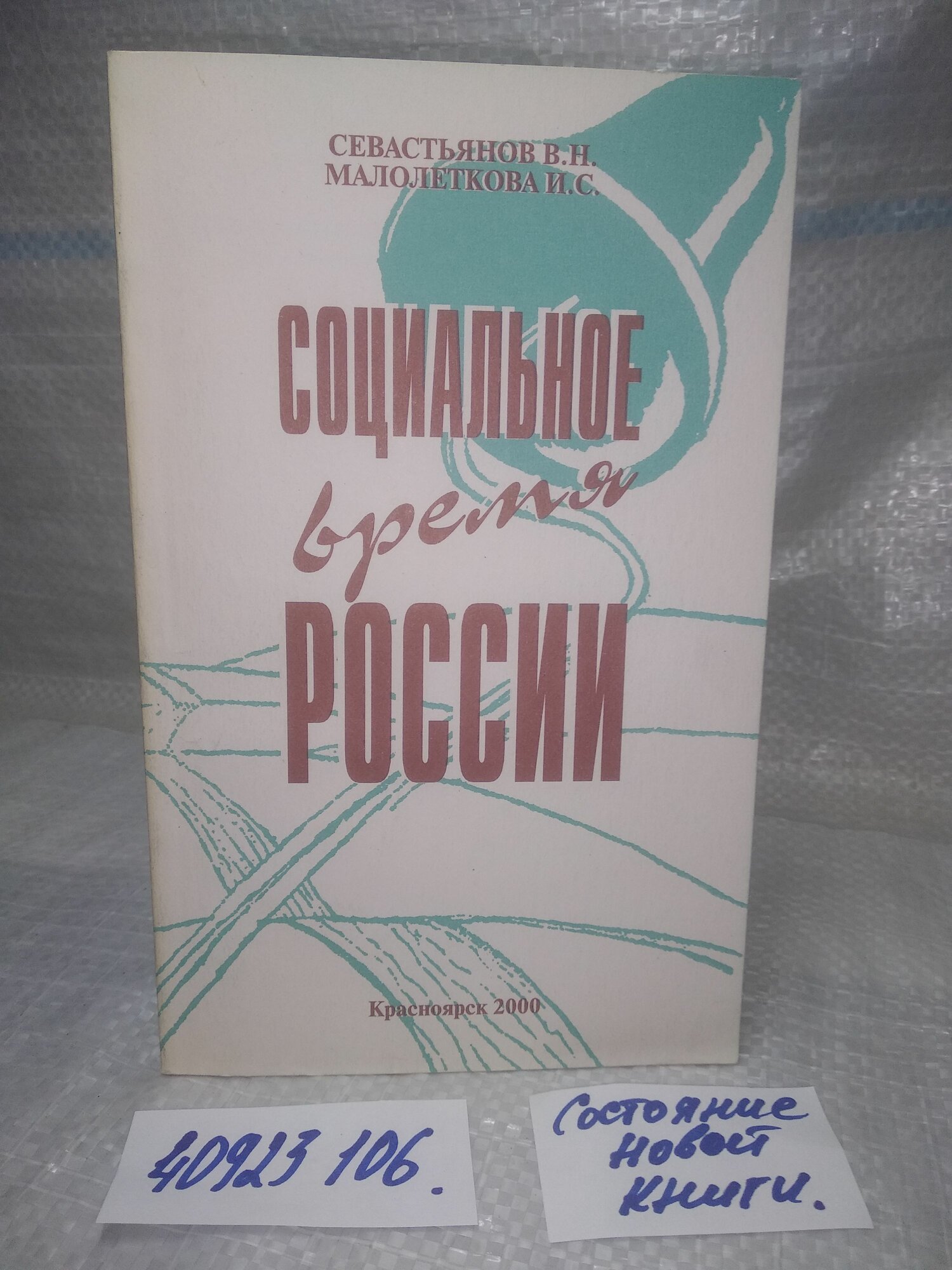 Социальное время России. В. Севастьянов, И. Малолеткова.