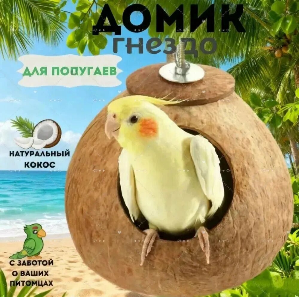 Гнездо для попугаев из натурального кокоса с подстилкой