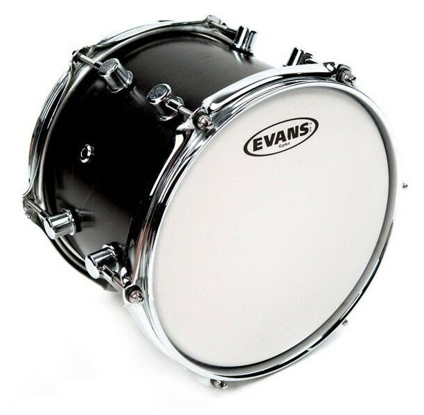 B13G12 G12 Coated Пластик для малого и том барабана 13”, с покрытием, Evans