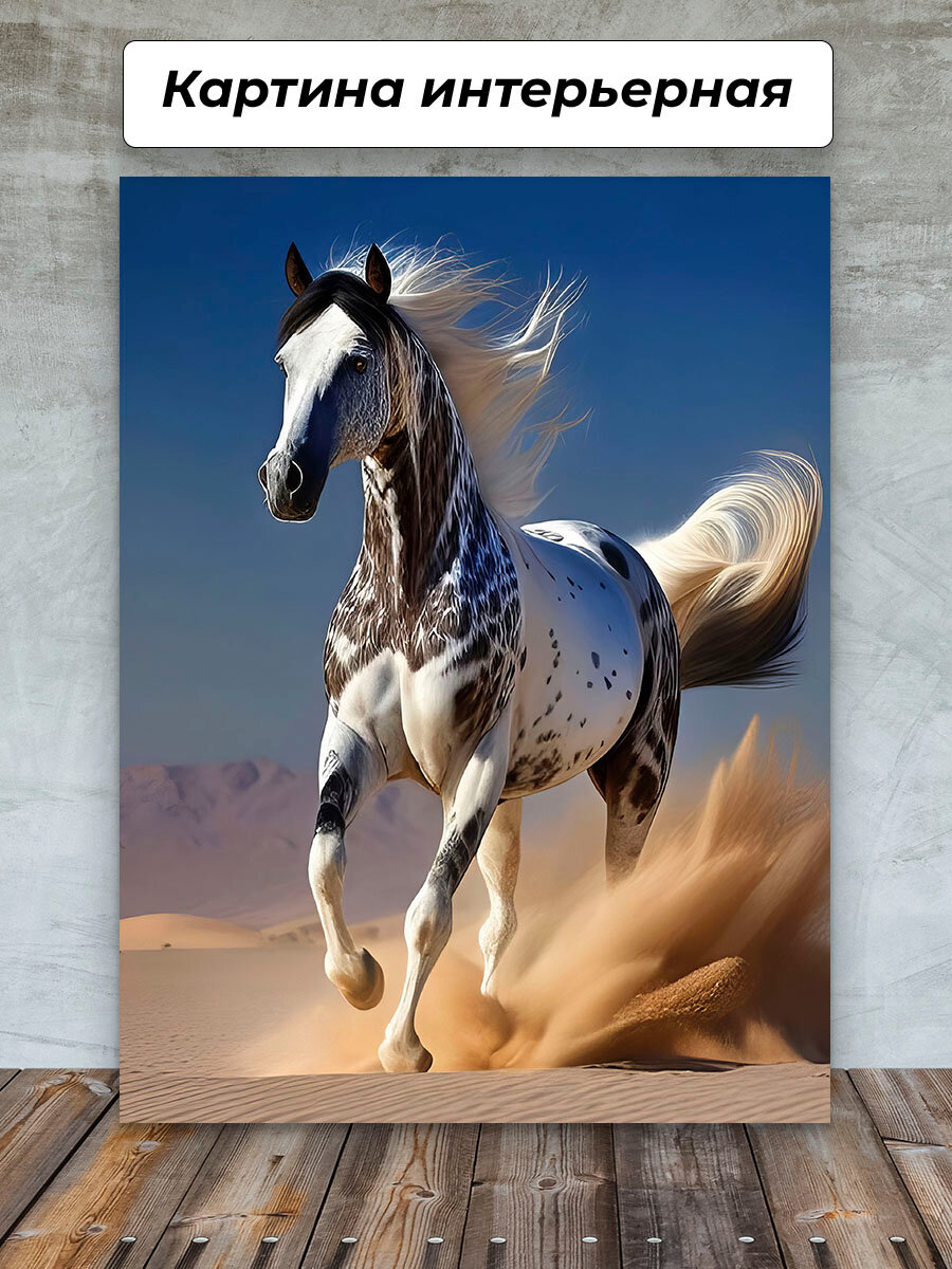 Картины для интерьера 40х60 Конь пустыня