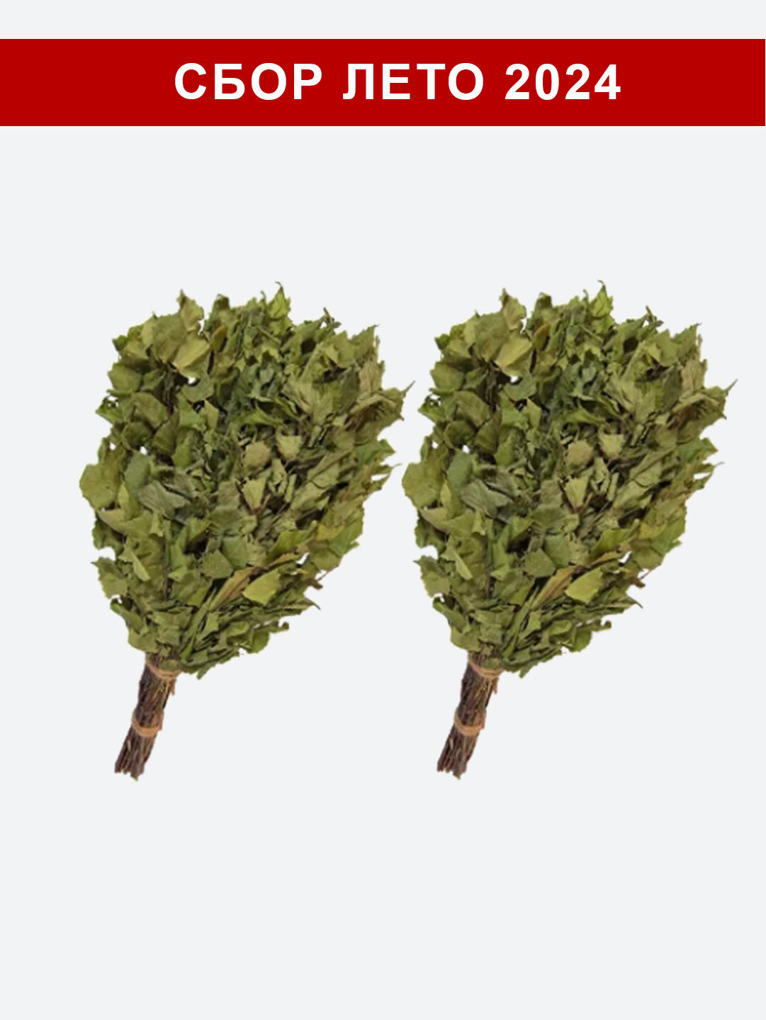 Веники Березовые свежие Сбор Лето 2024 для бани и сауны 2 шт