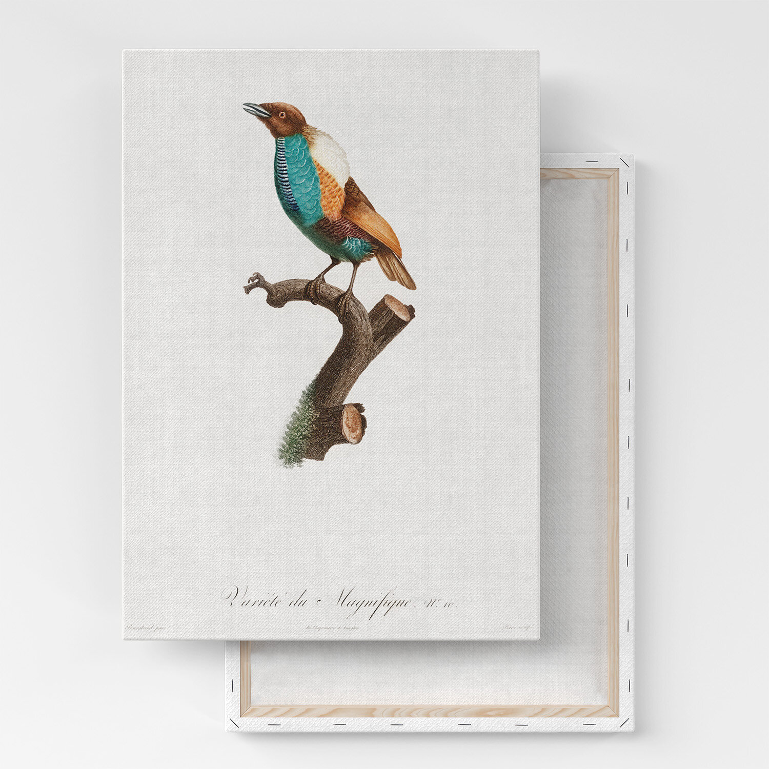 Картина на холсте, репродукция / Des Oiseaux de Paradis / Размер 60 x 80 см