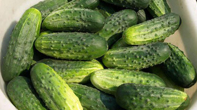 Семена огурцов Парус F1 (0,3 гр.)