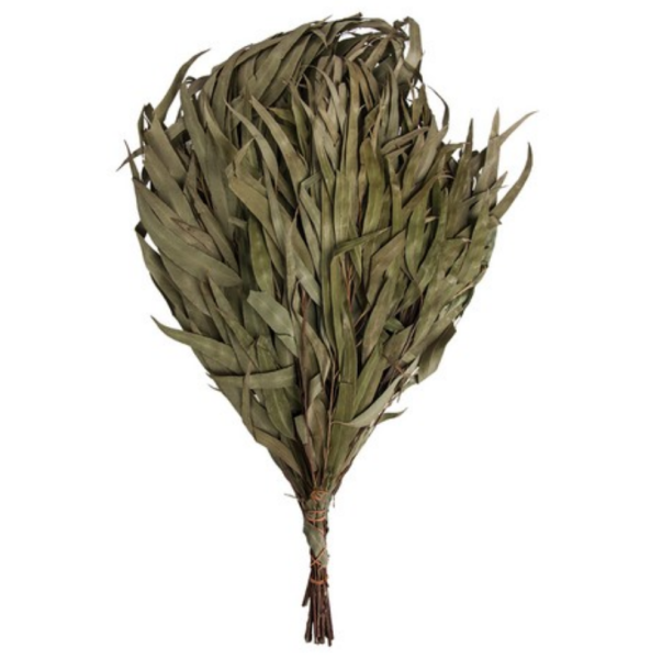 Веник эвкалиптовый(50)