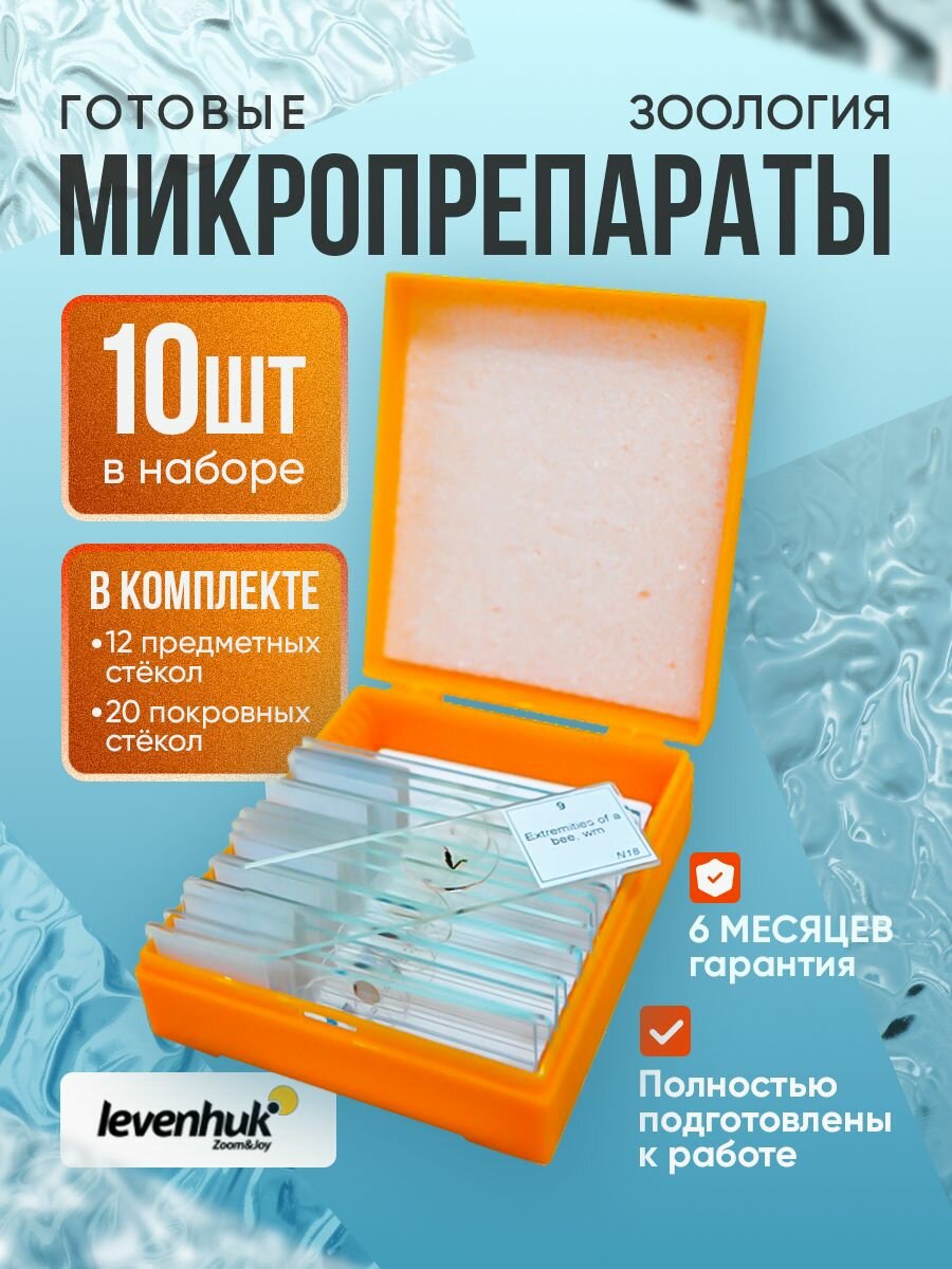 Набор микропрепаратов Levenhuk N10 NG для самостоятельных исследований