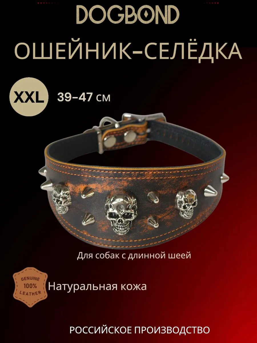 Dogbond ошейник-селедка для грейхаундов и борзых собак