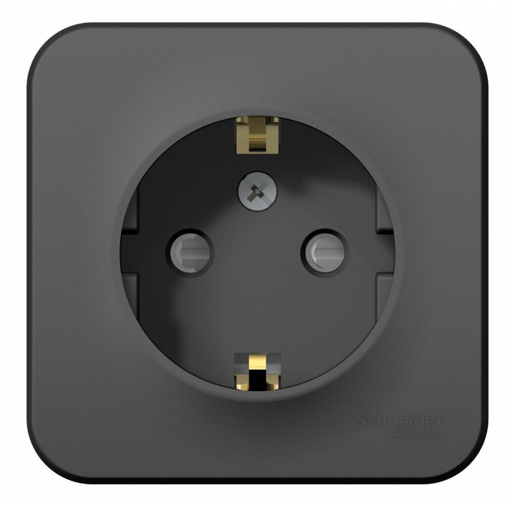 Розетка Systeme Electric двойная BLANCA с заземлением, 16А, 250В, антрацит {BLNRA011116} 1 шт