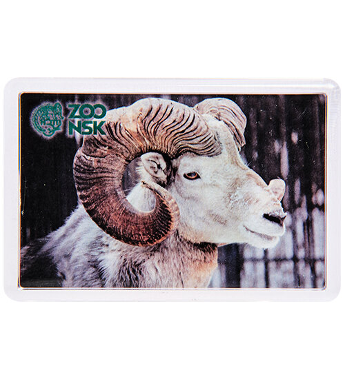 Магнит Новосибирский зоопарк МТ-001/06 113-401929