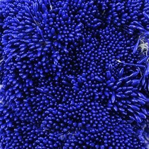 Тычинки декоративные 0,1 см 1/4200 шт Электрик