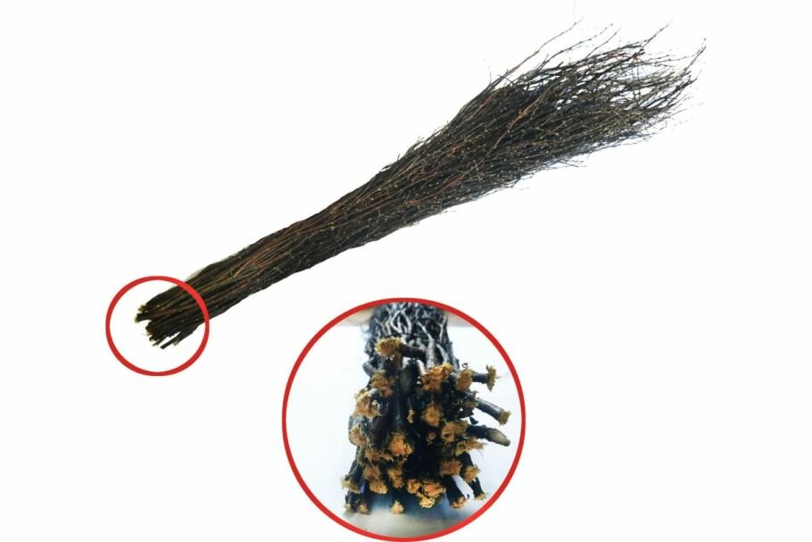 Веник Чилиговый