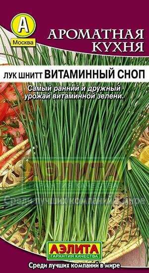 Семена лука шнитт "Витаминный сноп" 10 упаковок по 0,5 гр - растение хорошо облиственное, луковица выражена слабо, листья тонкие, темно-зеленого цвета, со слабым восковым налетом.