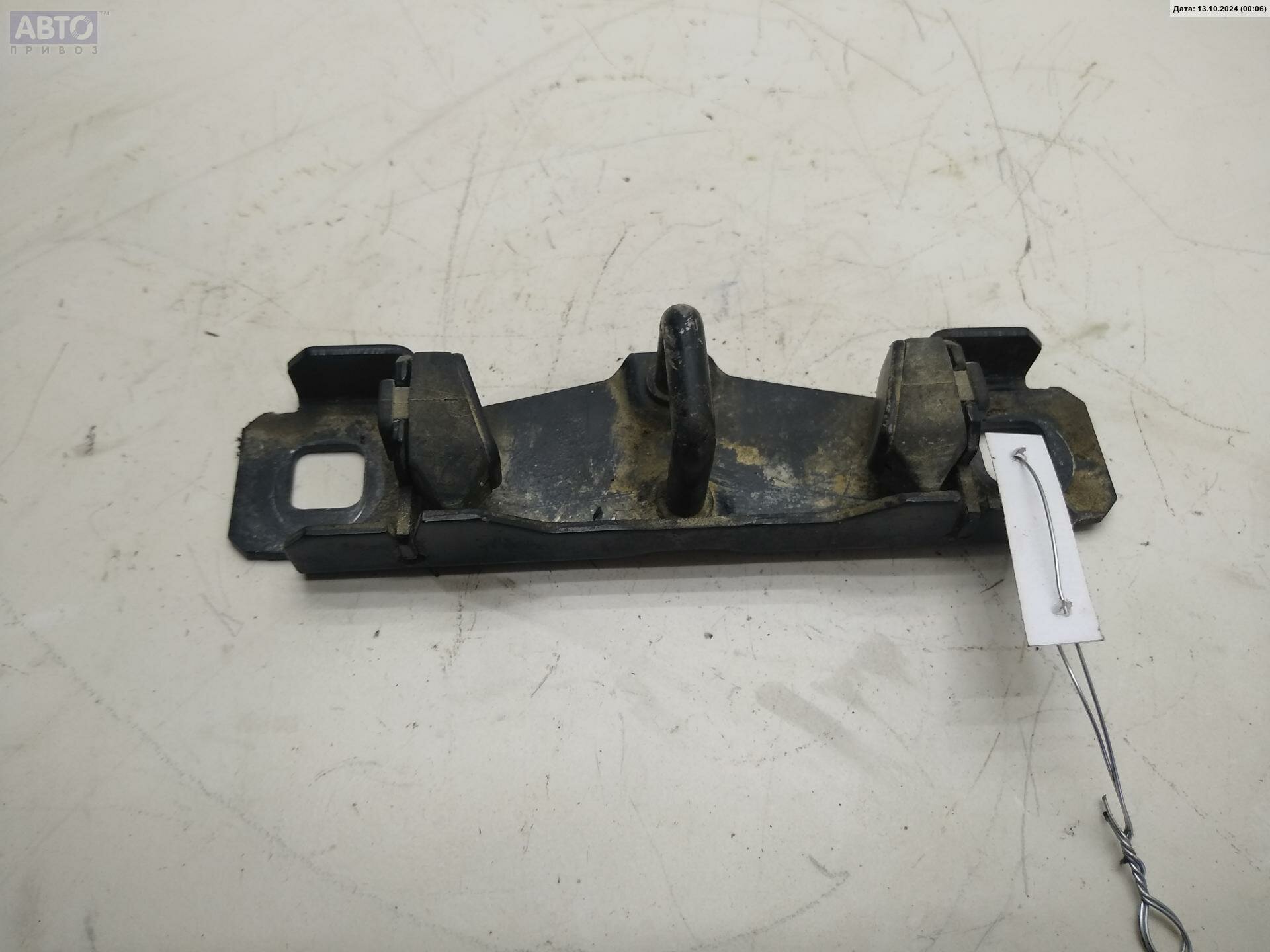 Петля крышки (двери) багажника Ford Focus 2 (2004-2010)