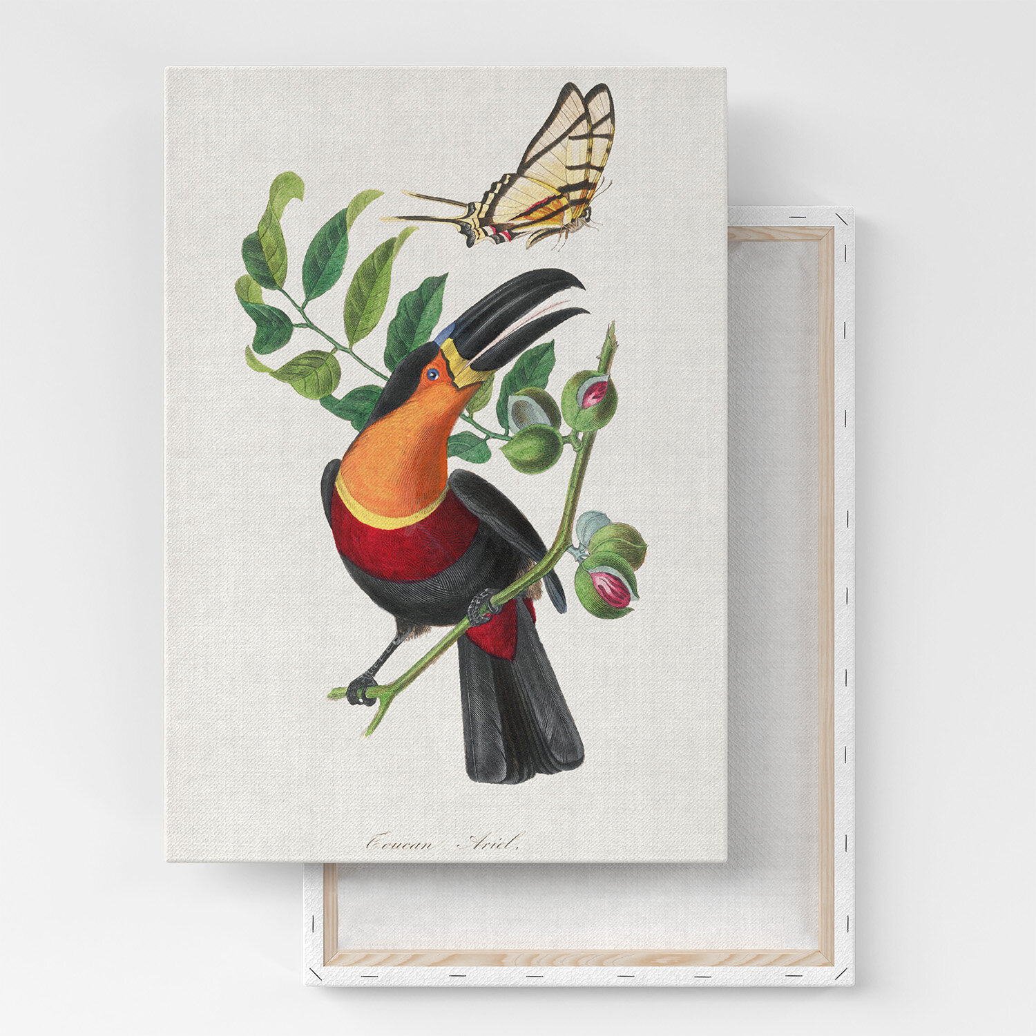Картина на холсте, репродукция / Le Jardin des Plante / Размер 60 x 80 см
