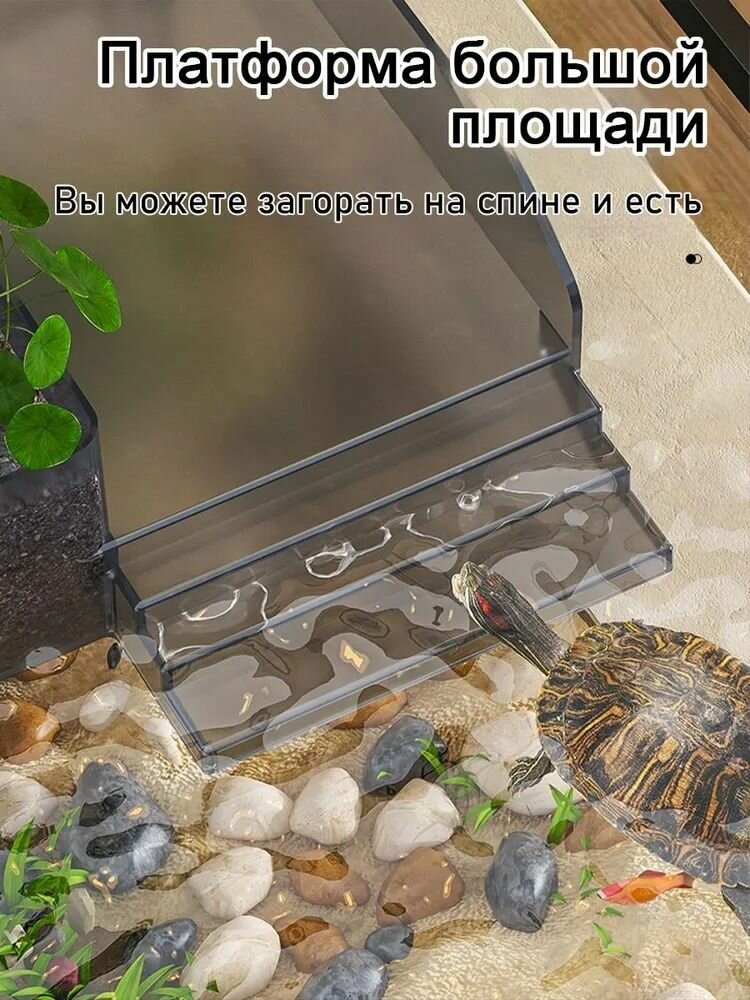 Аквариум для черепахи красноухой, 55*30*30cm, С аквариумным светильником и фильтром