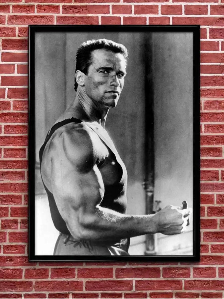 Плакат, Постер Шварцнегер, А3 (фотопанно, постер на стену)