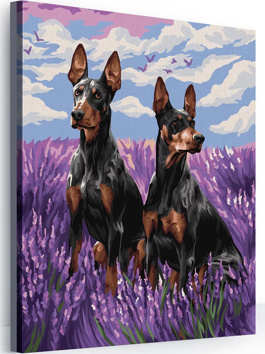 Доберманы Картина по номерам на холсте 40х50
