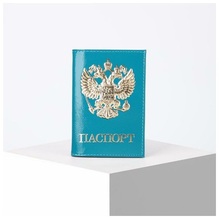 Купить Обложка для паспорта за 634р. с доставкой