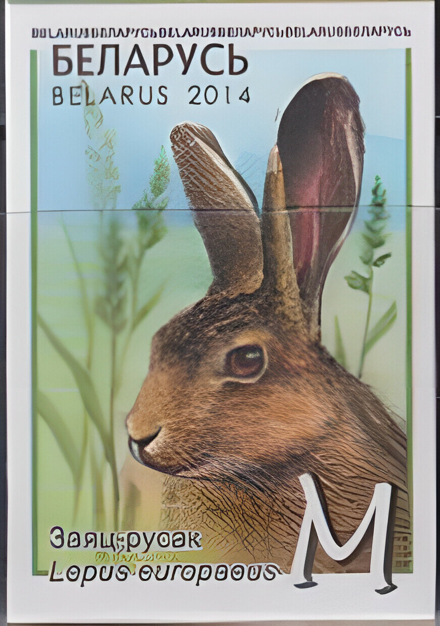Почтовые марки Беларусь 2014г. "Заяц-русак" Фауна, Грызуны MNH