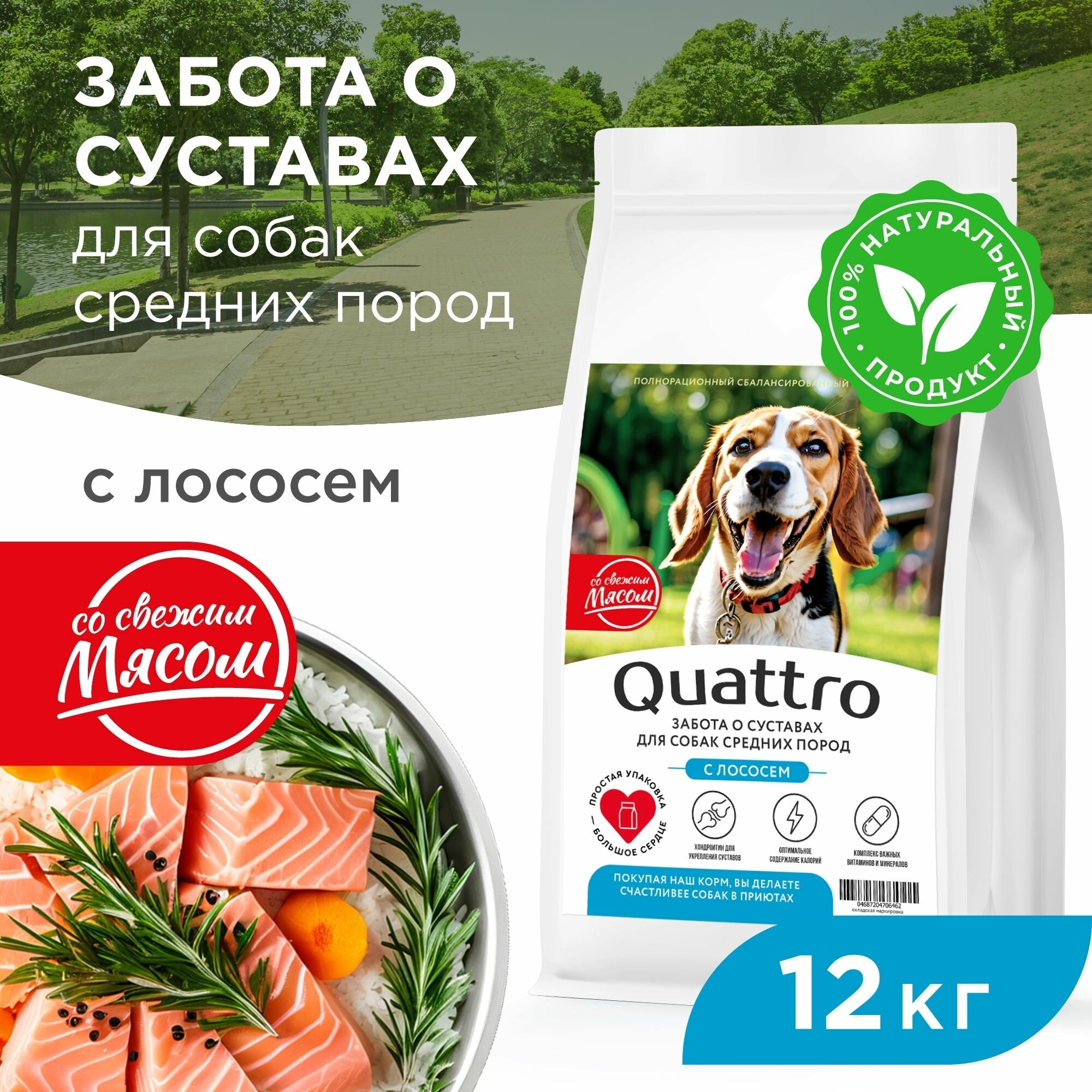 Корм сухой для взрослых собак средних пород, премиум полнорационный комплекс, забота о суставах, с лососем, 12 кг, QUATTRO