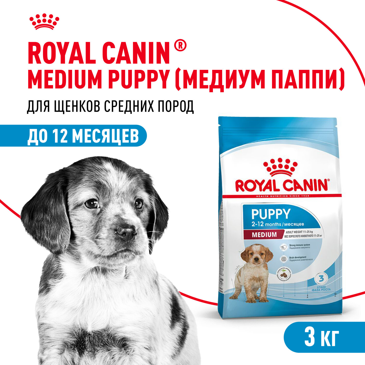 Сухой корм для щенков Royal Canin Medium Puppy для средних пород, 3 кг