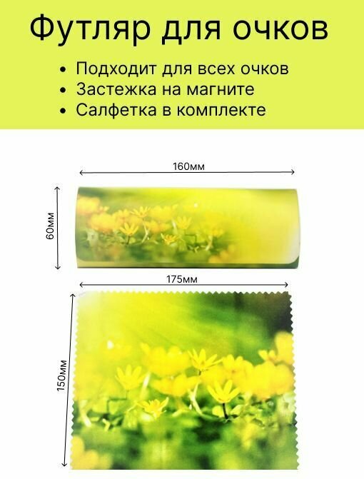 Красивый, яркий футляр для очков