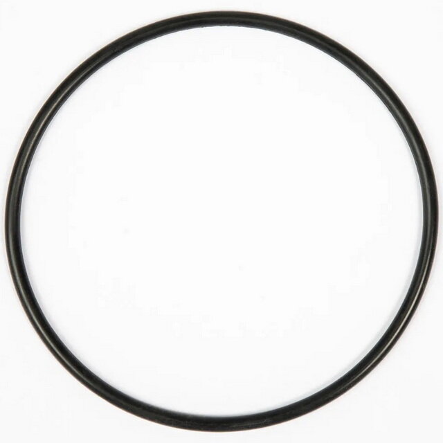 Уплотнительное кольцо для песочного фильтр-насоса 16 см, Bestway, P61214ASS16