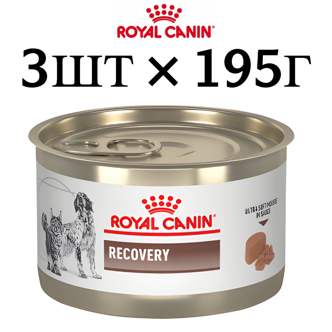 Влажный корм для кошек и собак , Royal Canin Recovery , в период восстановления после операции (3шт по 195г)