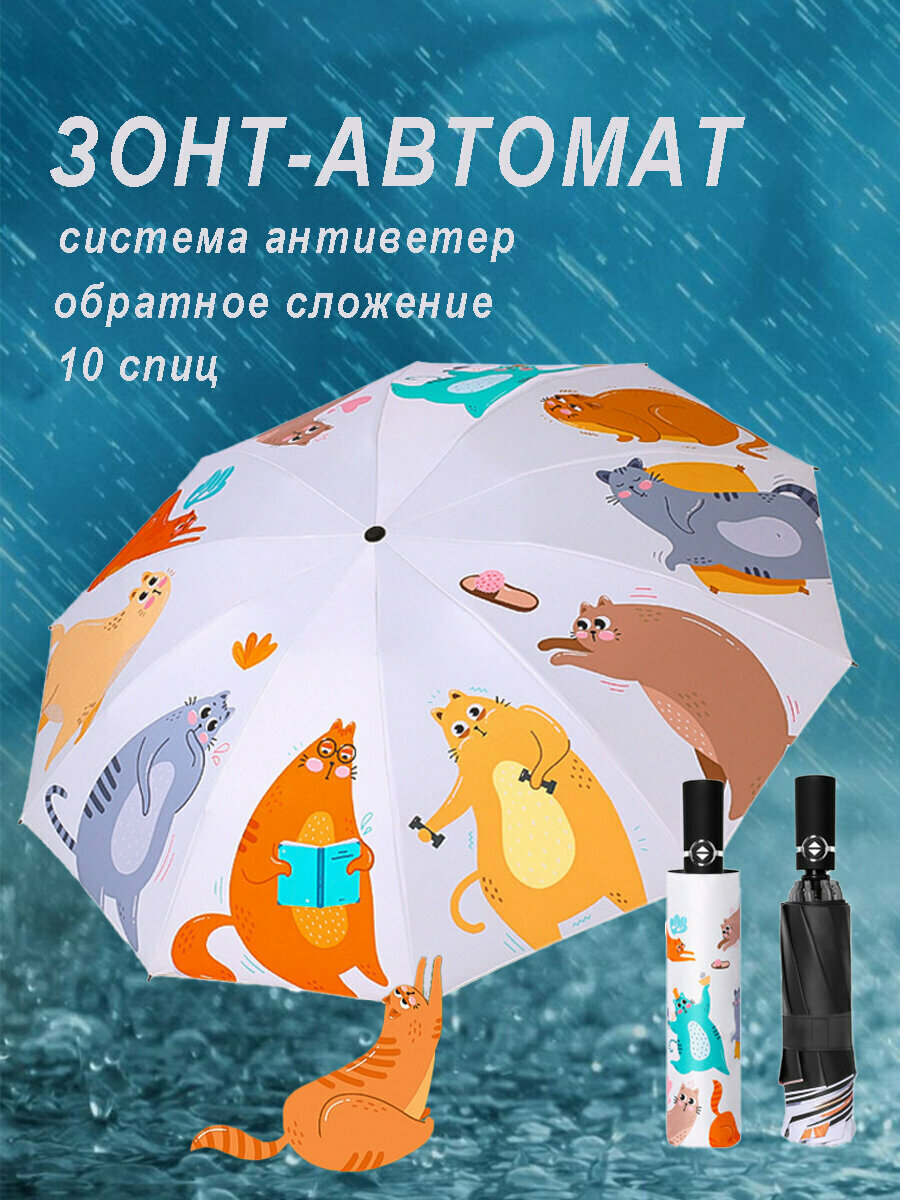 Зонт
