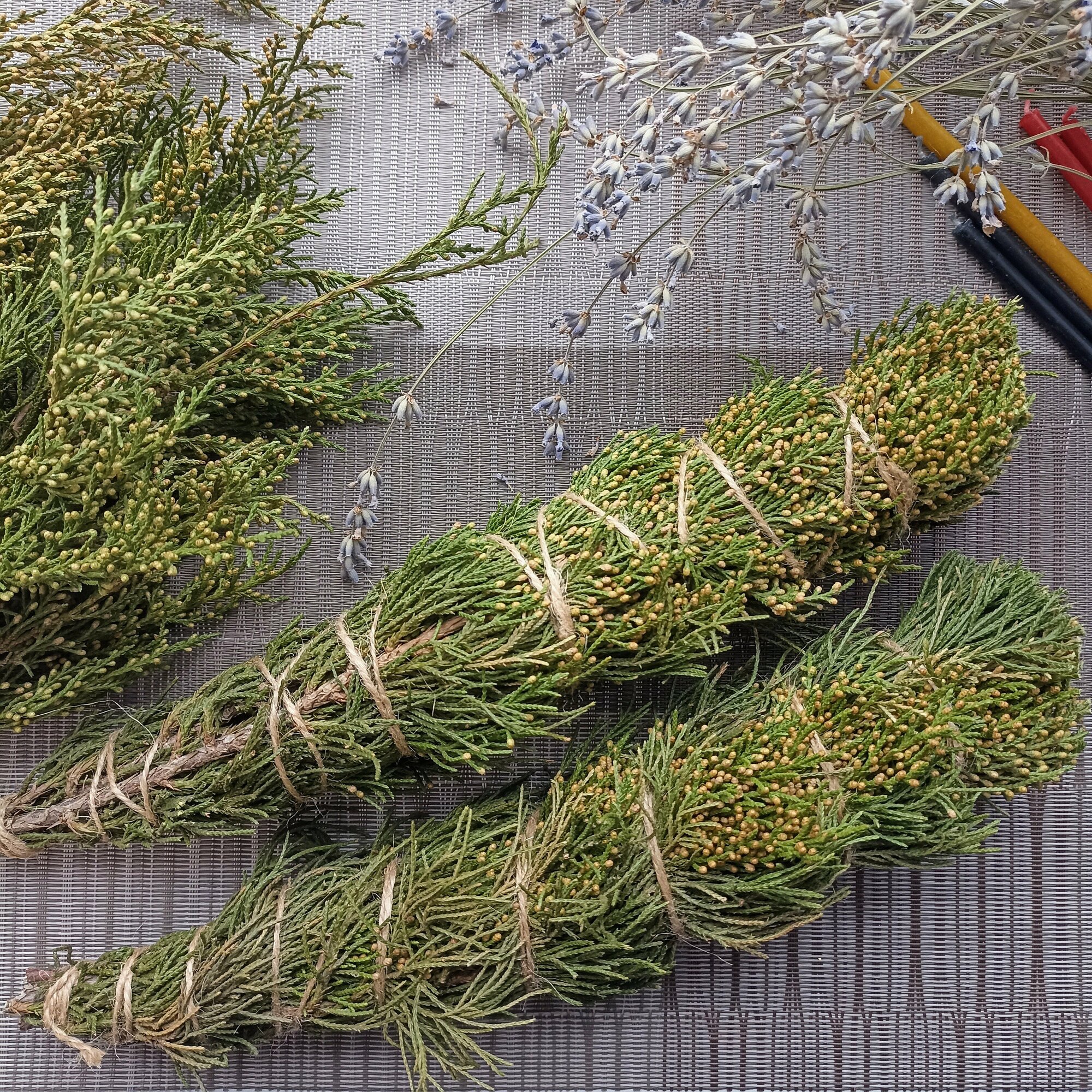 Скрутки из можжевельника 2 шт/ Можжевельник скрутка/Можжевельник ветки/Можжевельник для окуривания/Можжевеловые скрутки для окуривания, для бани, для свечей, для саше, для медитаций и ритуалов