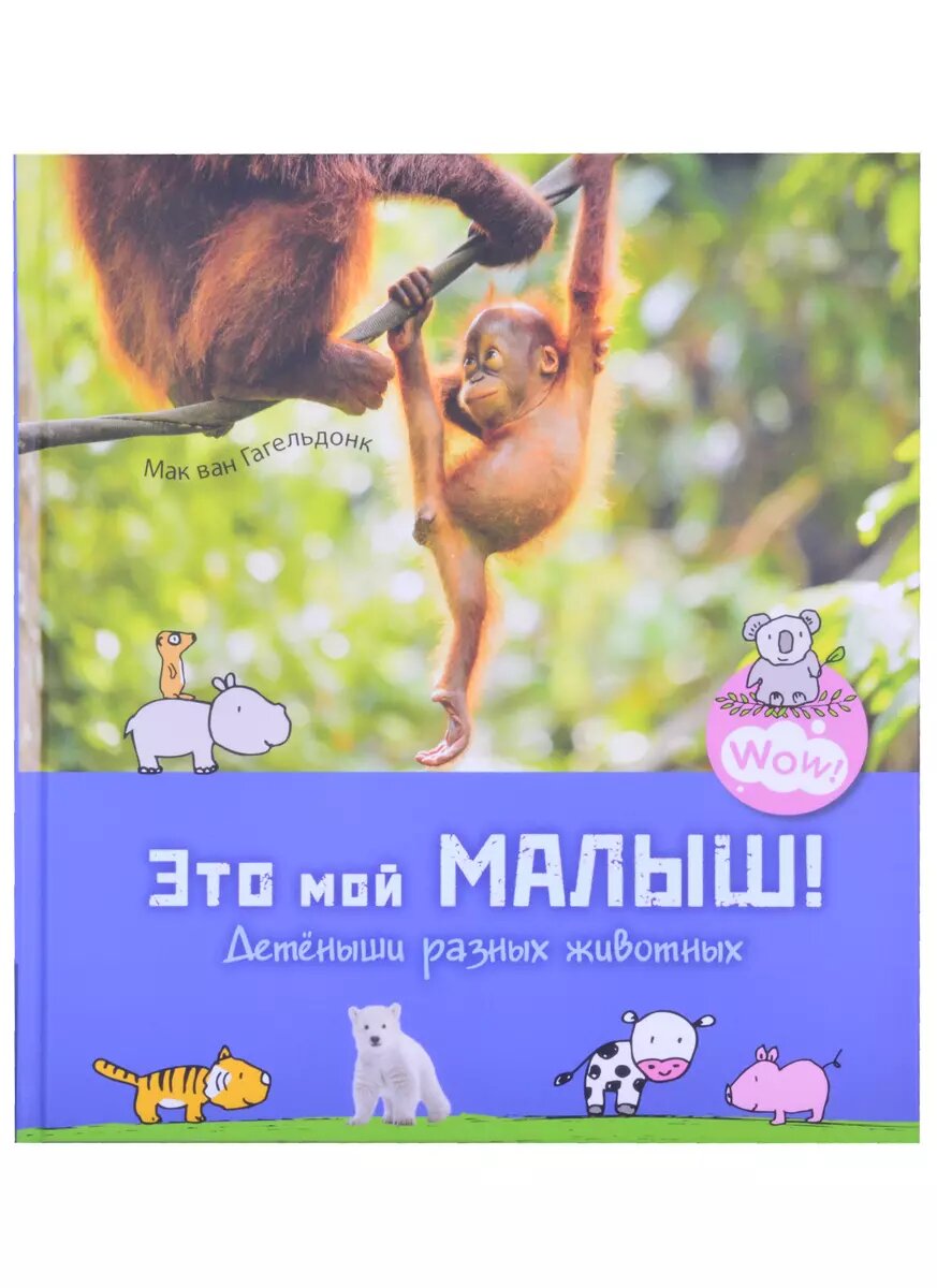 Обучающая книга Энас-книга Это мой малыш! Детеныши разных животных. 2021 год, М. ван Гагельдонк