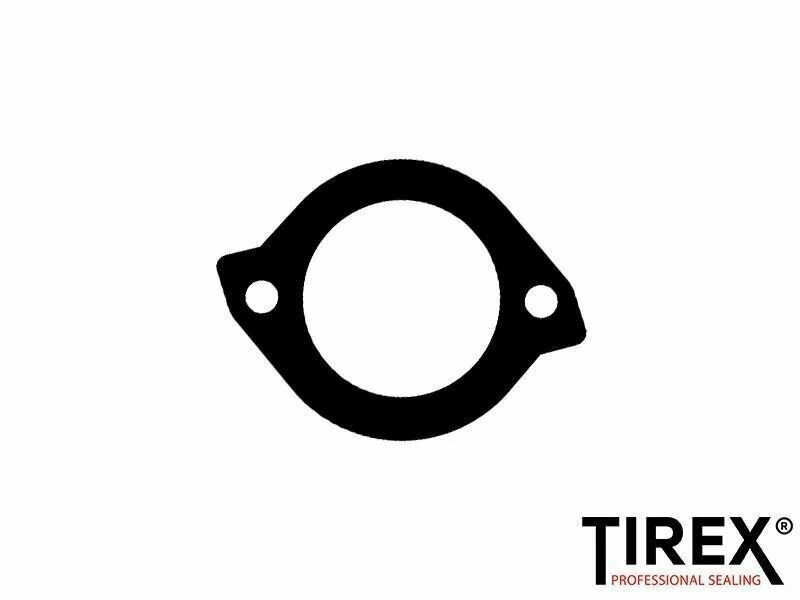 Прокладка термостата