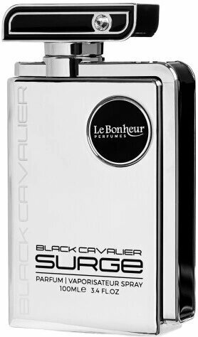 Le Bonheur Black Cavalier Surge 100 мл, Парфюмерная вода унисекс