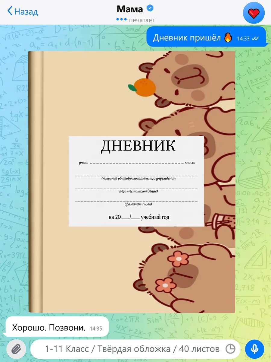 Школьный дневник с принтом Роблокс