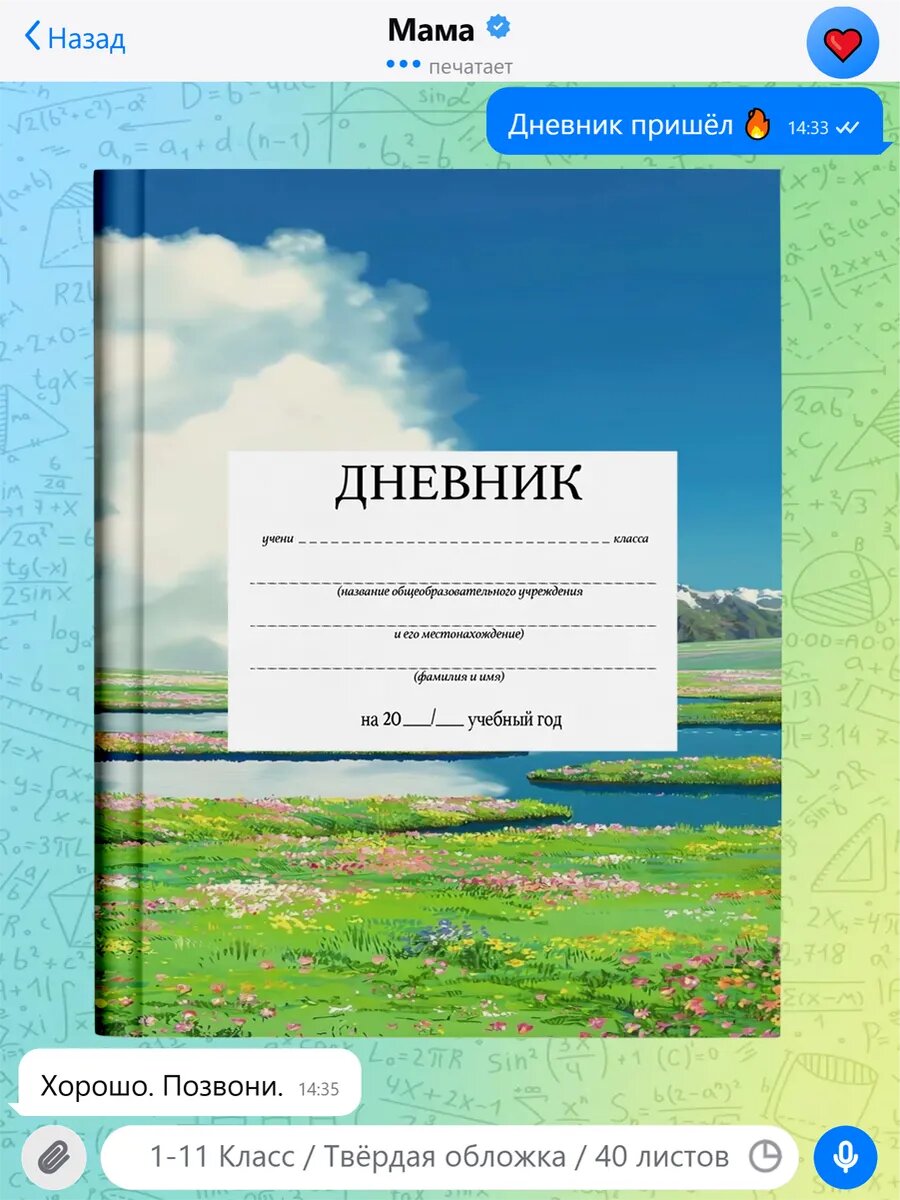 Школьный дневник с принтом Роблокс