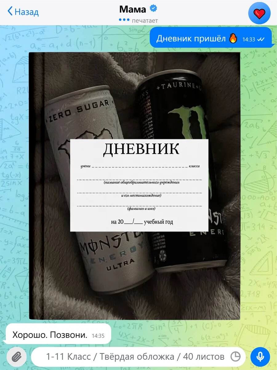 Школьный дневник с принтом Роблокс