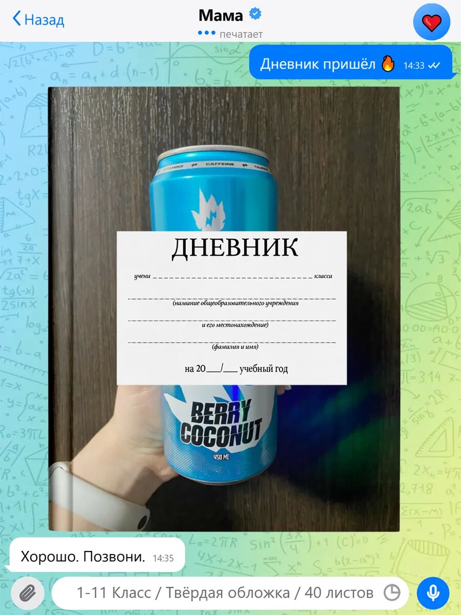 Школьный дневник с принтом Роблокс