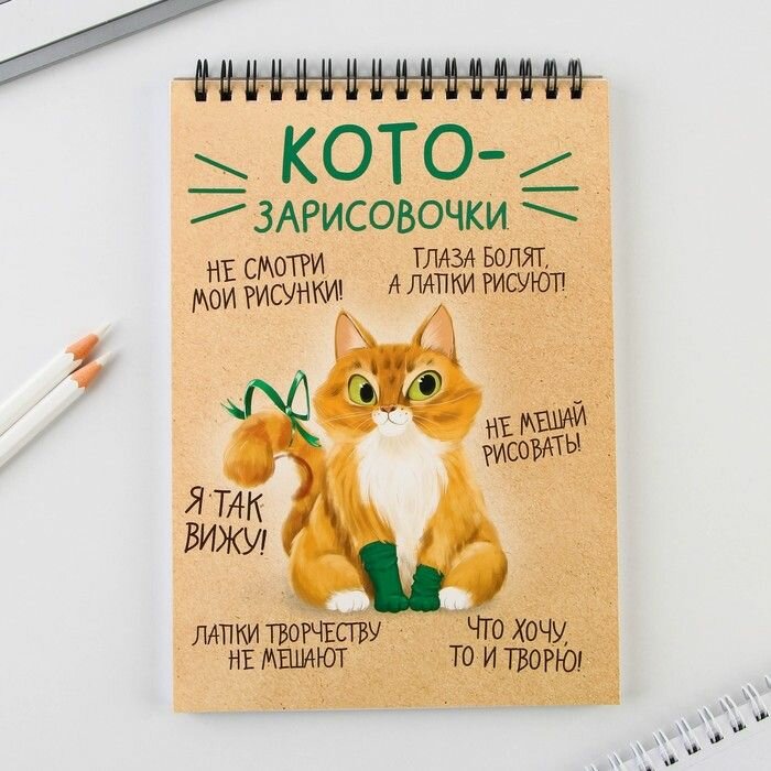 Скетчбук ArtFox "Котозарисовки" А5, 40 листов, 100 г/м2