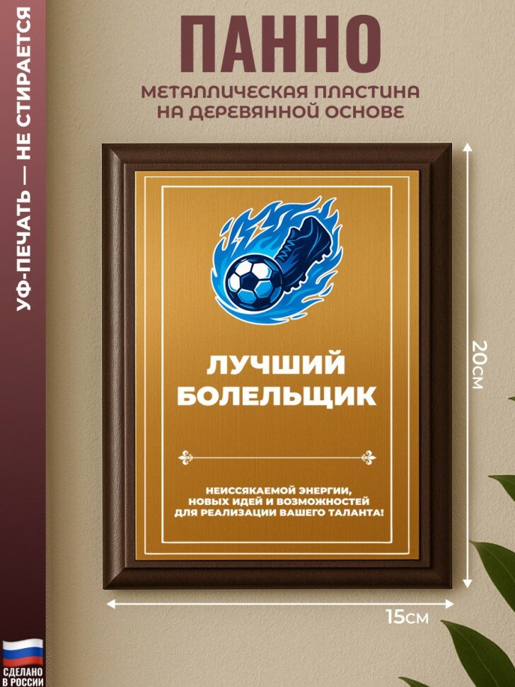 Настенный диплом "лучший болельщик" Футболисту