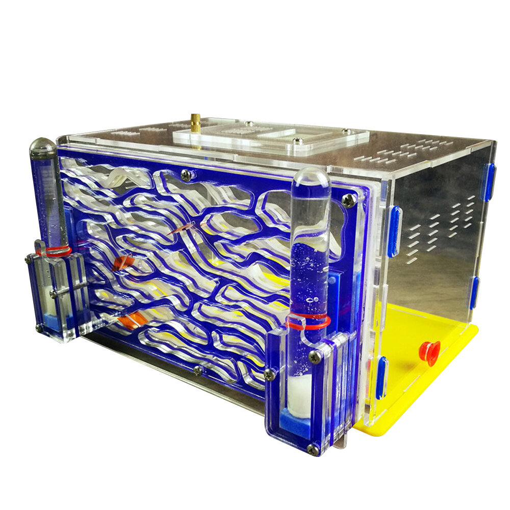 Сделай сам: Кормовая зона для муравьев, акриловая вилла для муравьиной фермы, продвинутый маниакальный подарок на день рождения для домашних муравьев.