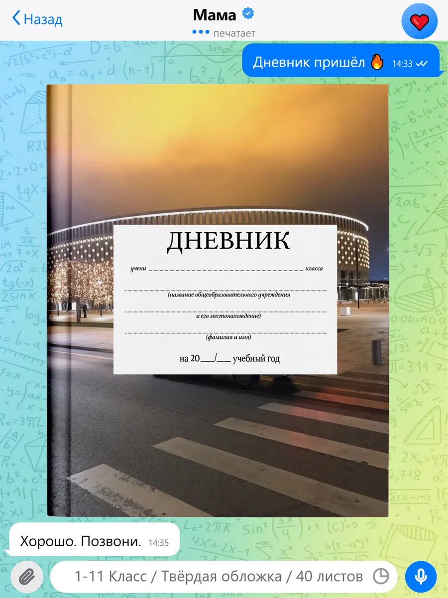 Школьный дневник с принтом y2k pinterest