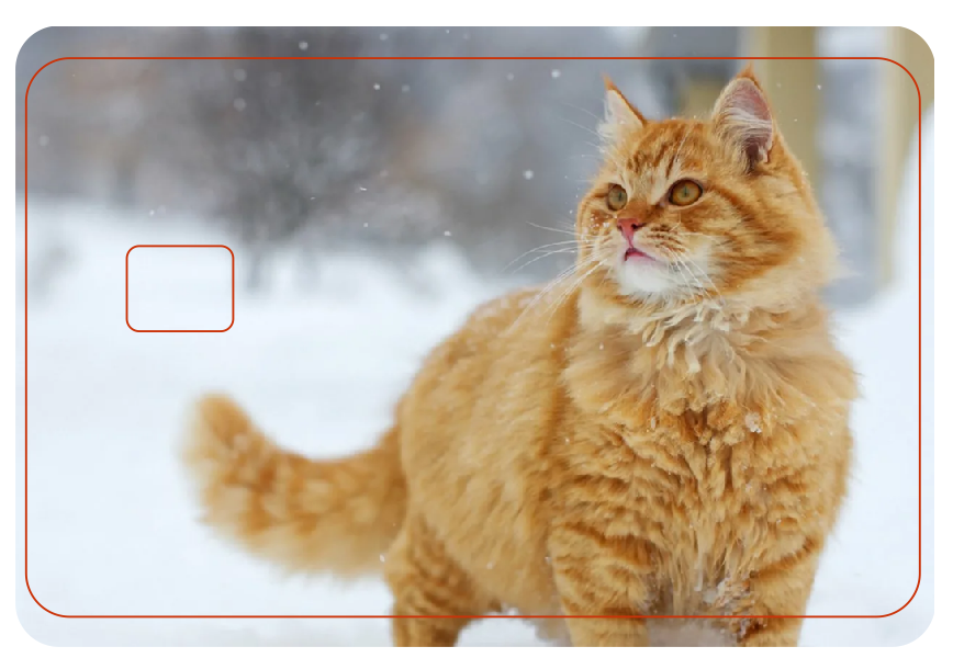 Наклейка на банковскую карту, стикер на карту, кошки