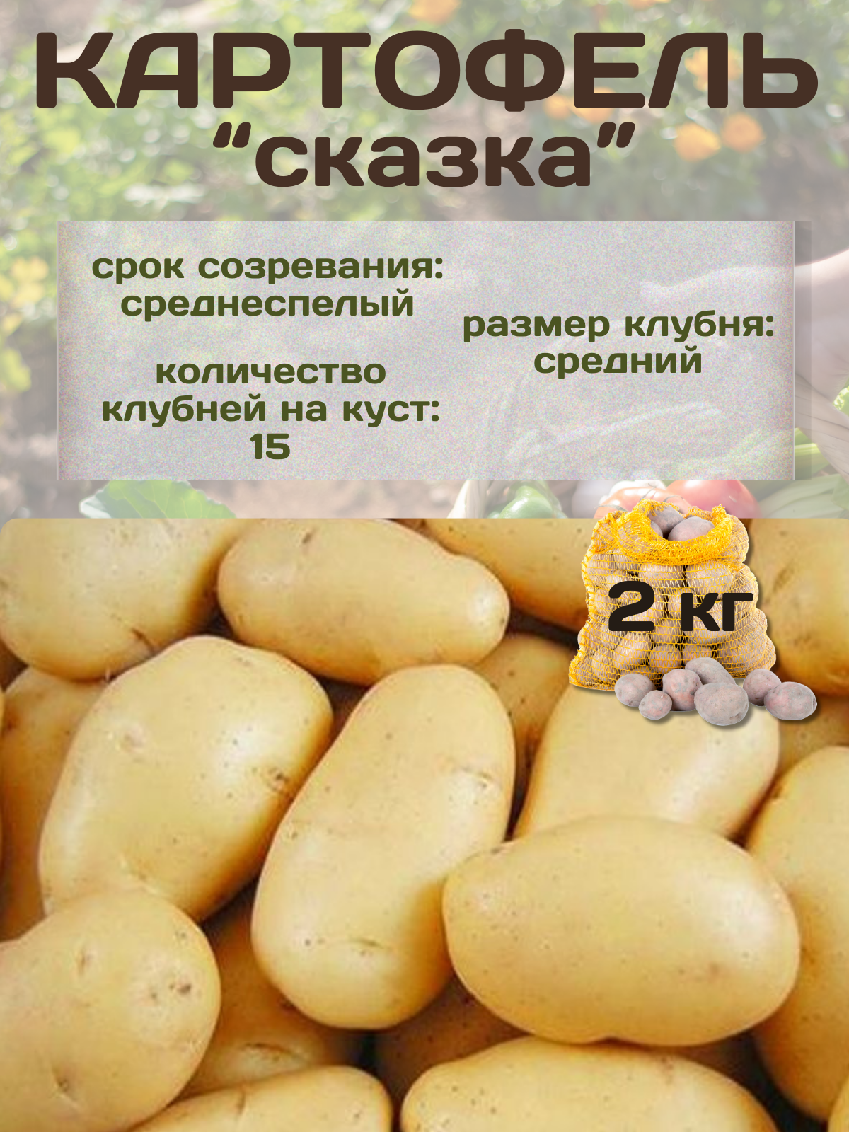 Картофель семенной Сказка 2 кг, на посадку
